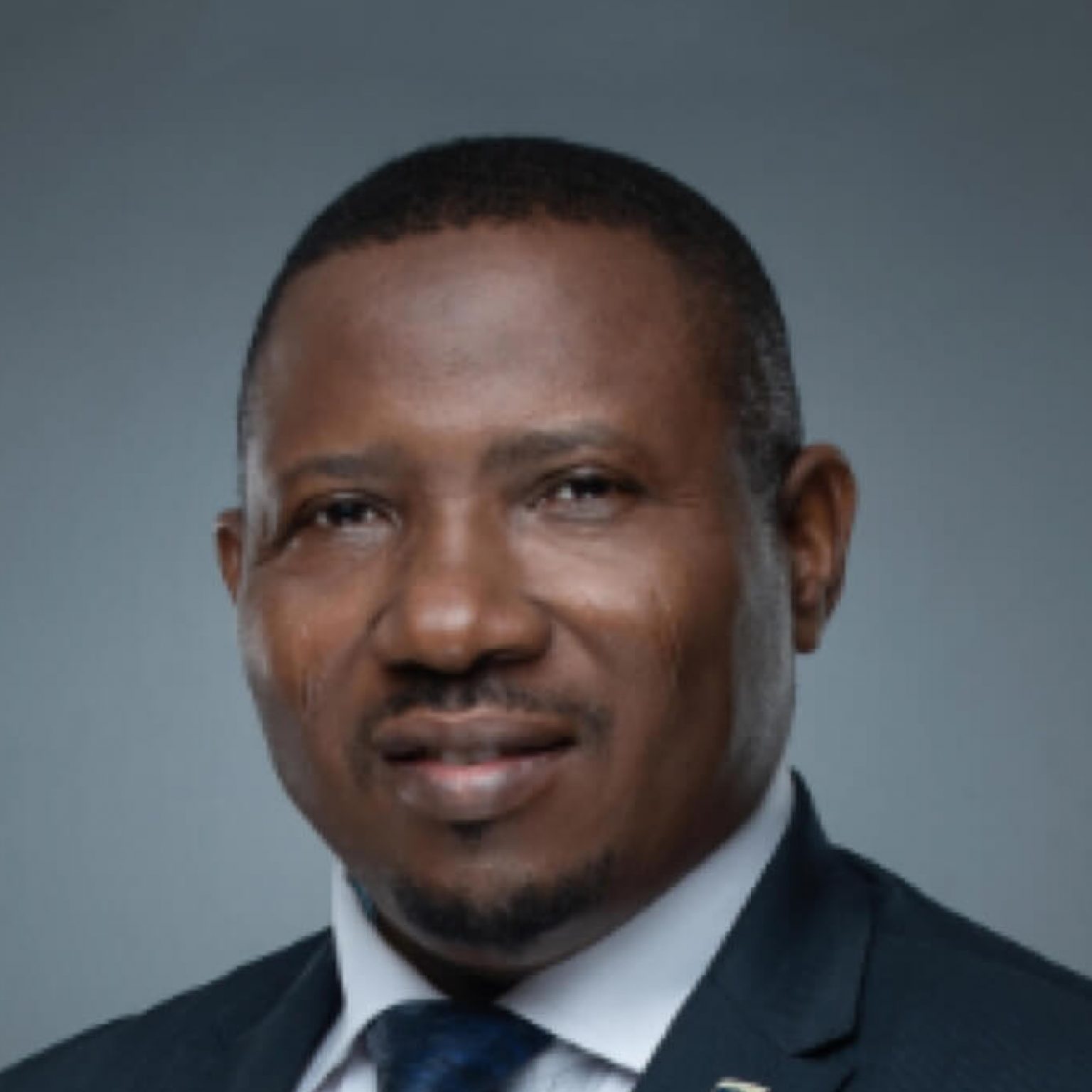Idris Shittu - First HoldCo Plc